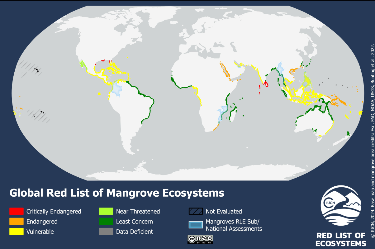 More than half of all mangrove ecosystems at risk of collapse by 2050 ...