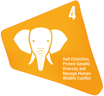 African Elephant Database and African Elephant Status Report ...
